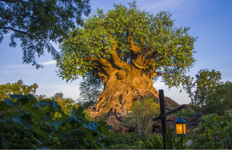 UK MAGICAL DESIGNS – The UK's number 1 Disney inspired store